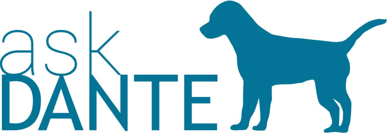 askDANTE als Assitent | Saxonia Network Systems GmbH